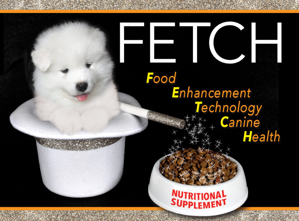 FETCH – I Love My New White Magic Samoyed Puppy Guide