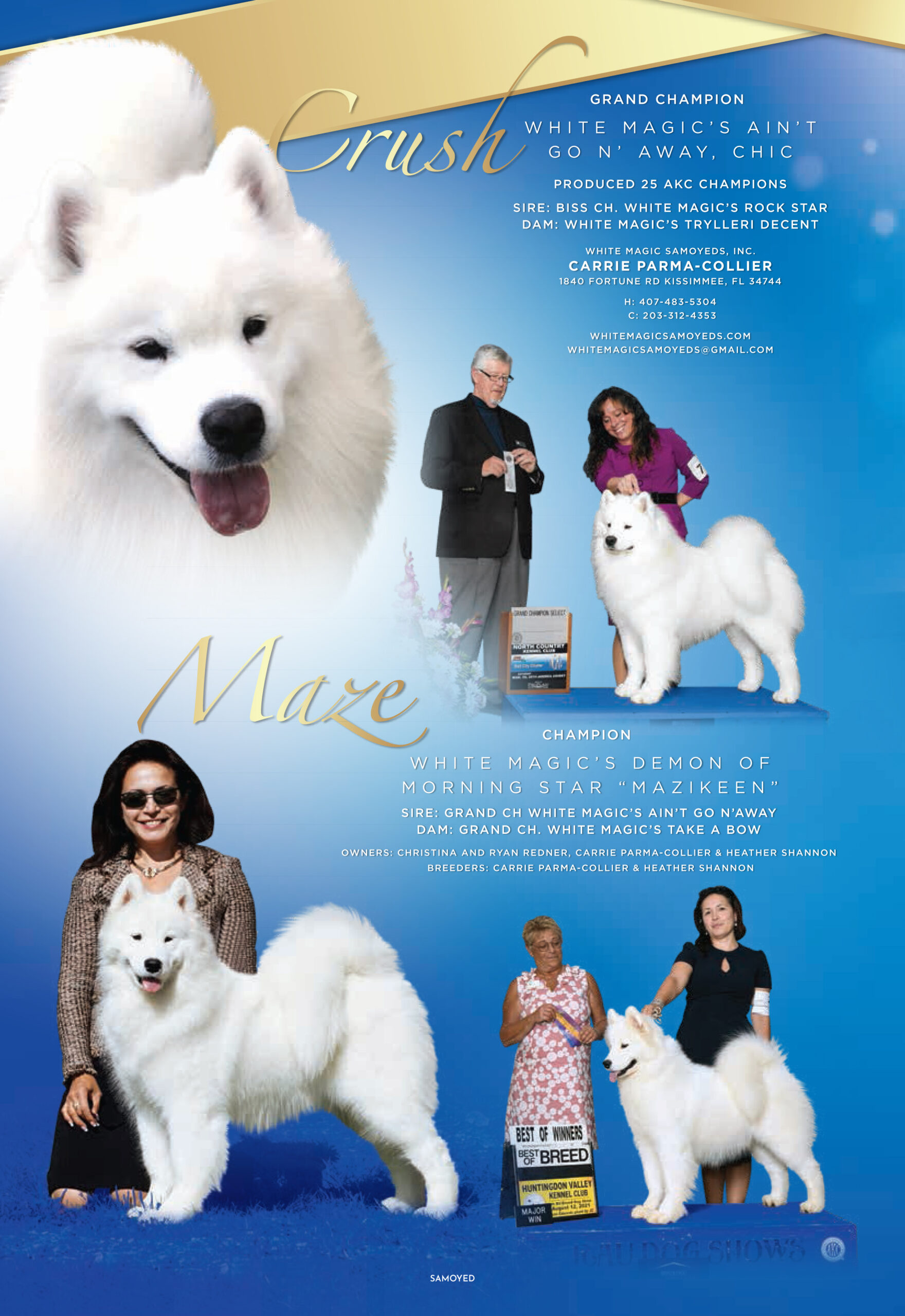 WMS Dog Show Digital Magazine Ads – I Love My New White Magic Puppy Guide
