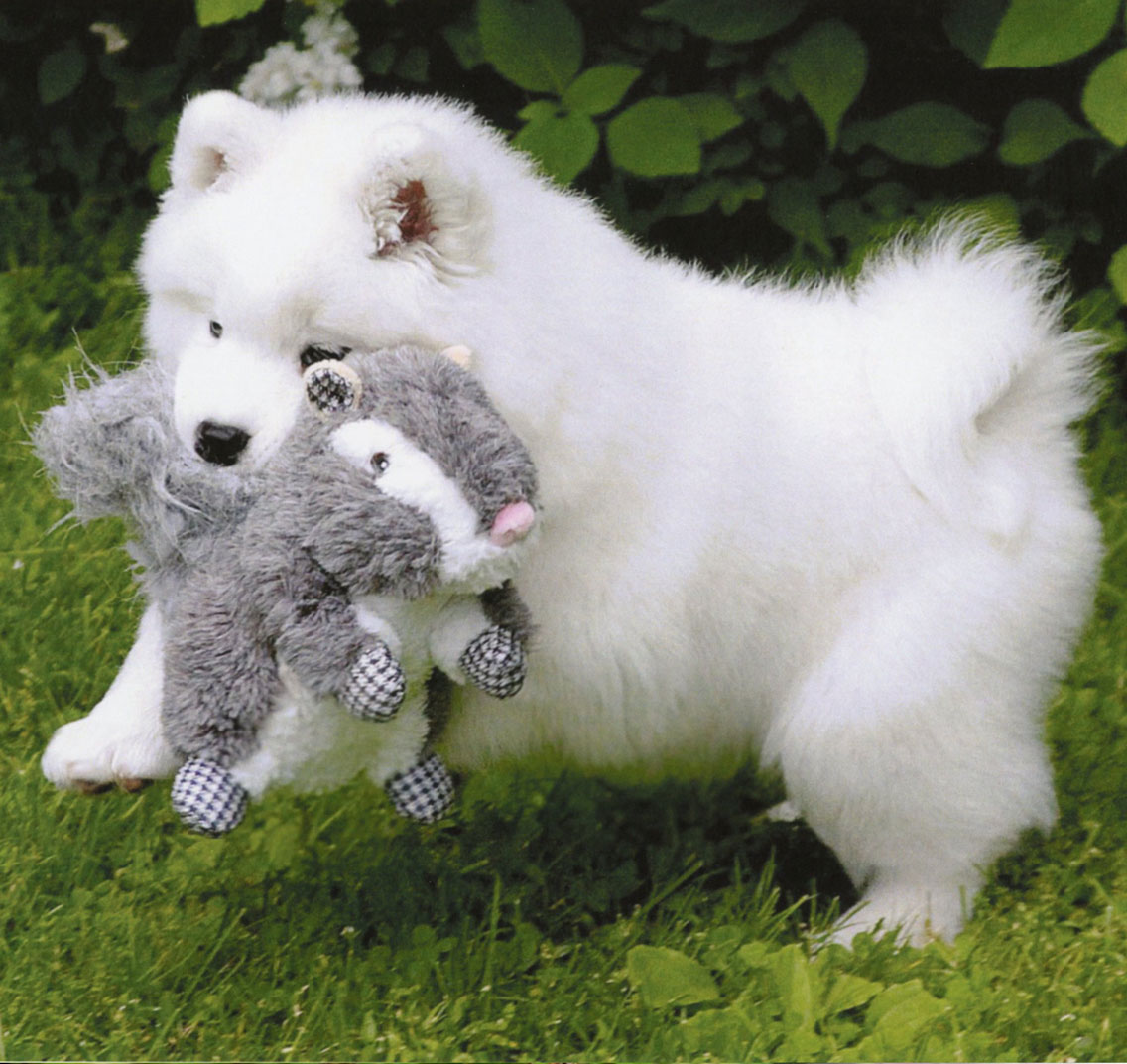 Managing & Treating Adverse Vaccine Reactions – I Love My New White ...