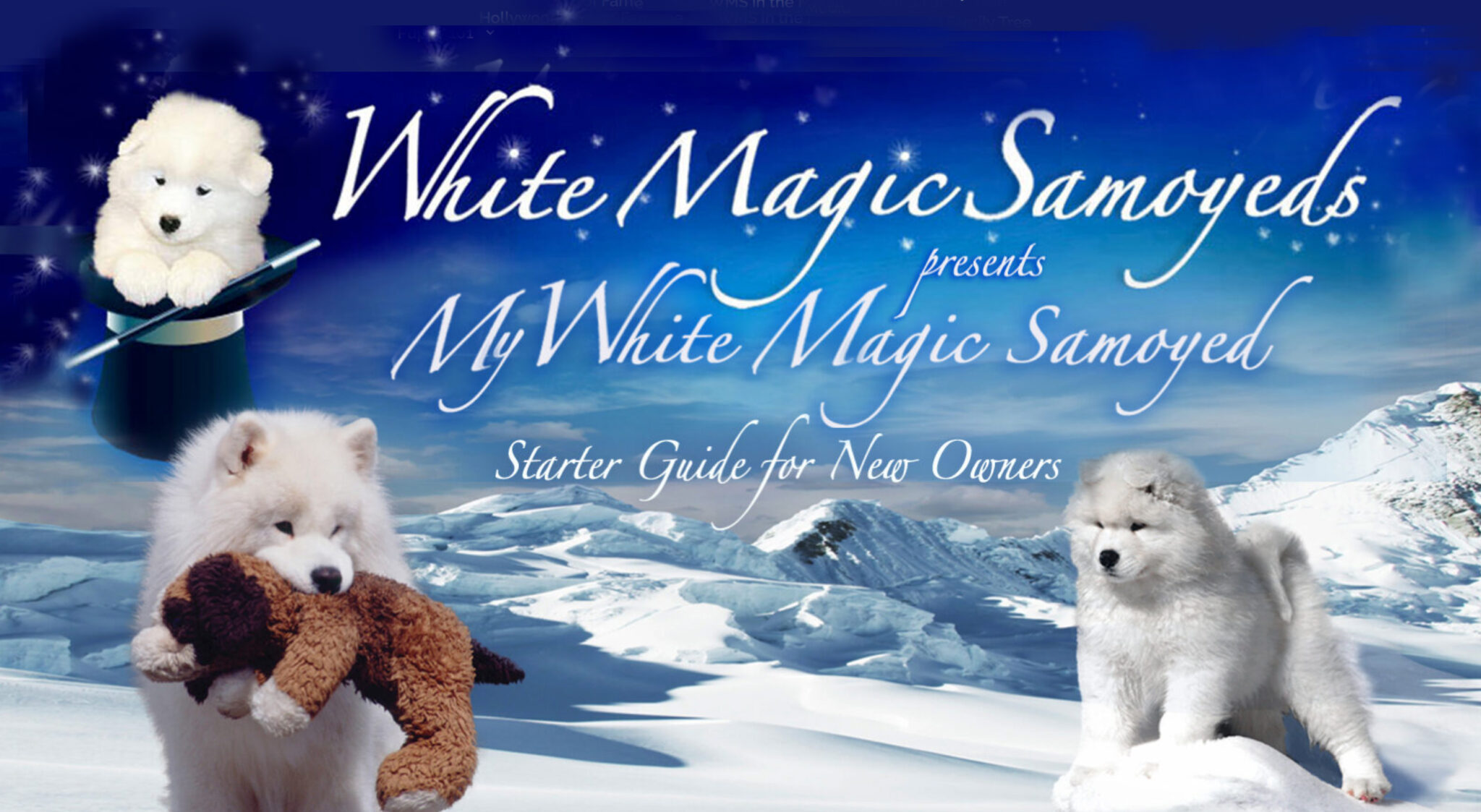 I Love My New White Magic Puppy Guide – Exclusively contact us either ...